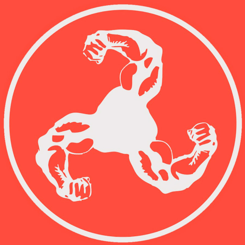 Purple umbrella for Hottinger | wood walker | Umbrella Workshop