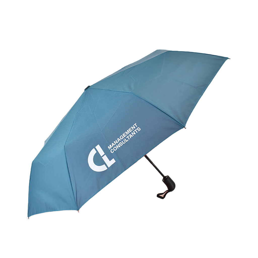 Custom Folding Umbrella for Management Consultancy | Branded Umbrellas ...