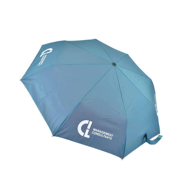 Custom Folding Umbrella for Management Consultancy | Branded Umbrellas ...