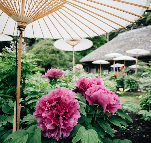 5 Creative and Unexpected Uses for Your Umbrella - amazing!