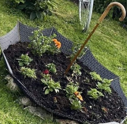 5 Creative and Unexpected Uses for Your Umbrella - amazing!